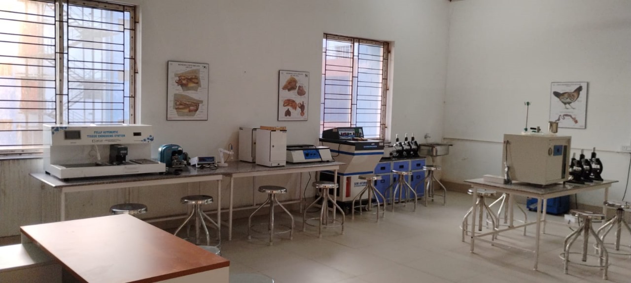 JIS College of Veterinary & Animal Sciences (JISCOVAS)