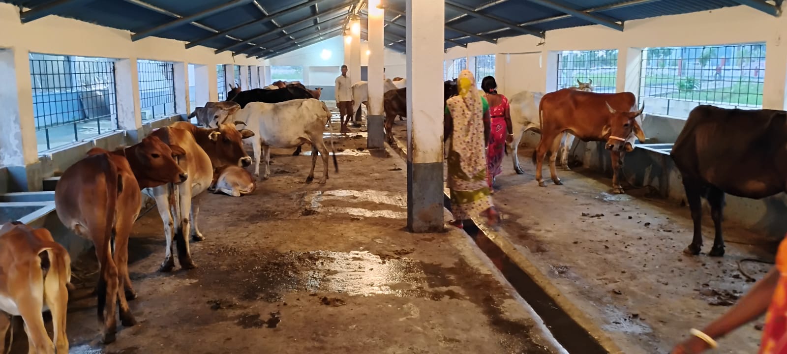 Gallery | JIS College of Veterinary & Animal Sciences (JISCOVAS)