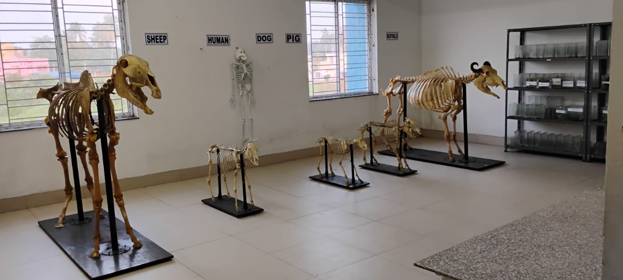 JIS College of Veterinary & Animal Sciences (JISCOVAS)